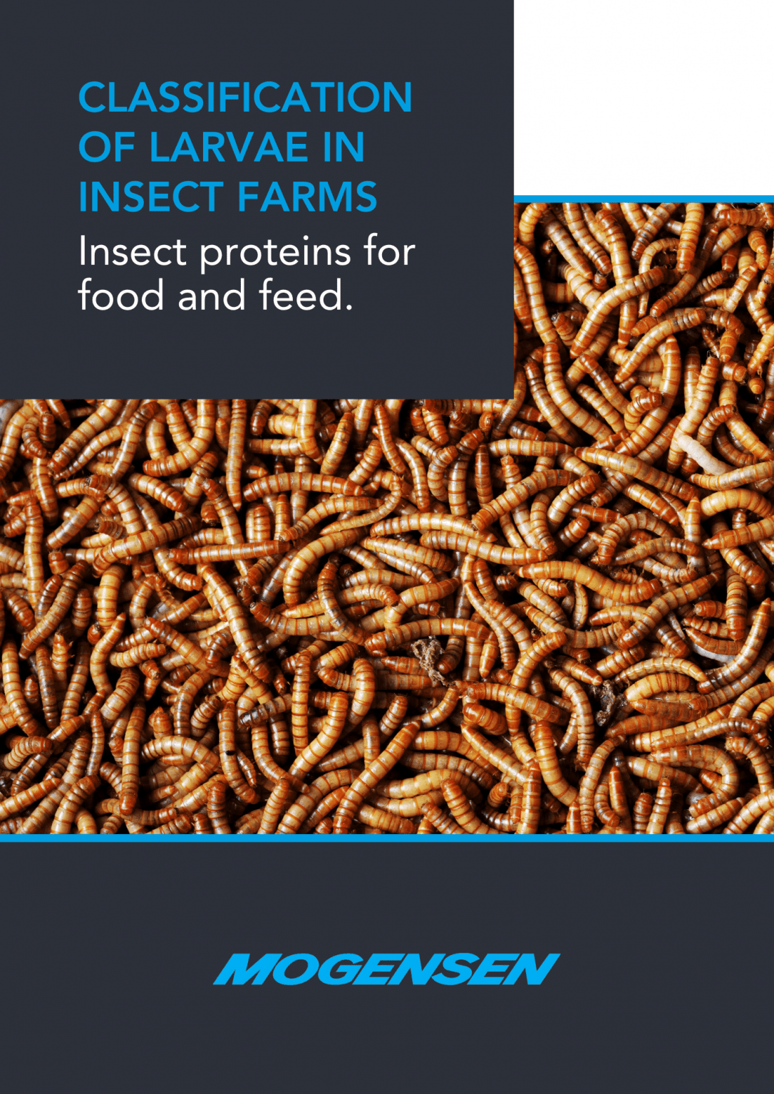 CLASSIFICATION OF LARVAE IN INSECT FARMS (INGLÉS) - MOGENSEN Spain
